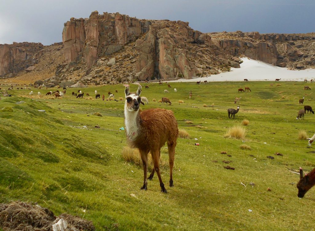 Rock Climbing in the Andes, A Guide to 3 of South America’s Best Rocks