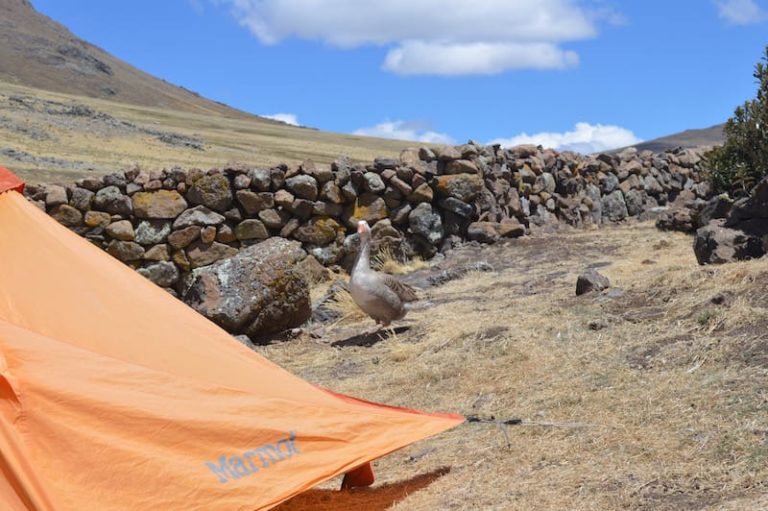 The Absolutely Conclusive Guide to Hatun Machay [2023 Update]