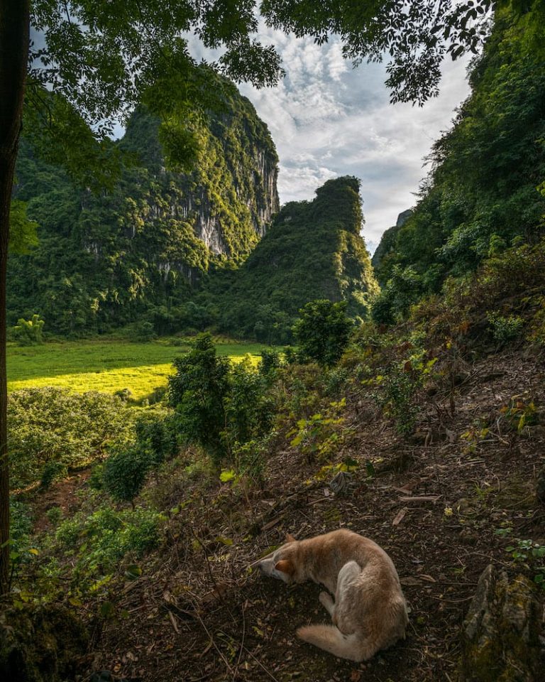 Yangshuo Climbing: The Best Rocks in Asia [Full Guide]