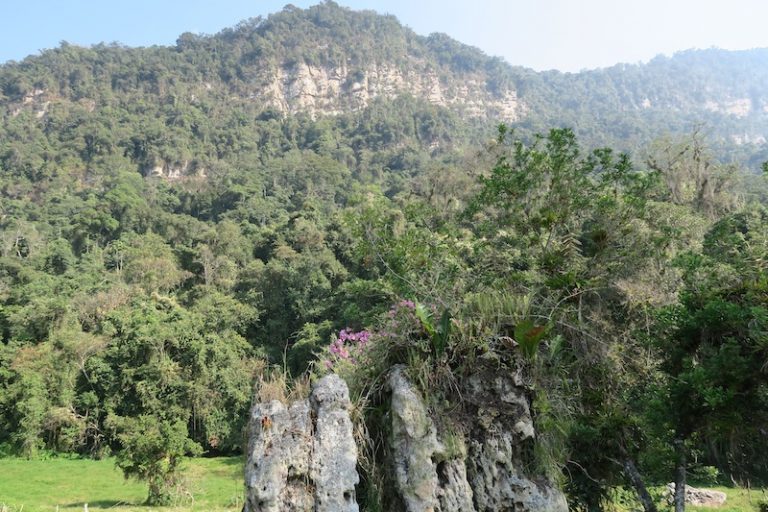 Rock Climbing Venezuela: All You Need To Know To Climb