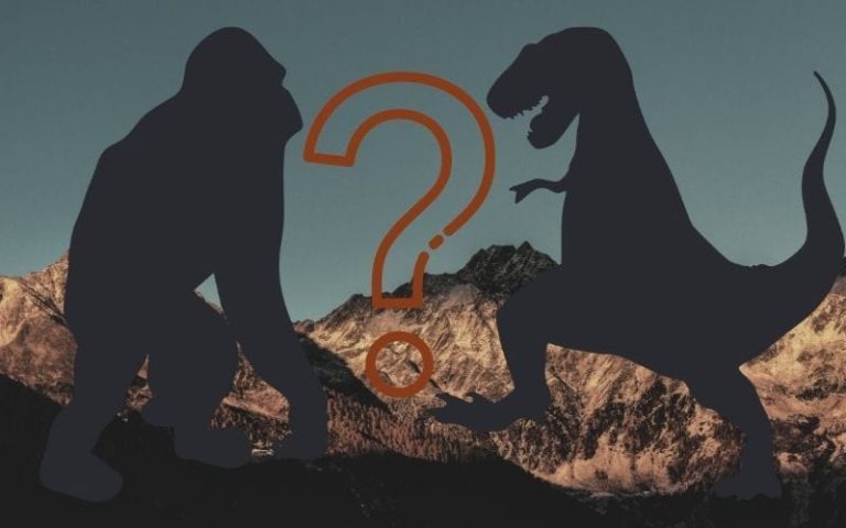 Ape Index Calculator: How to Measure For Climbing [Height Ratio]