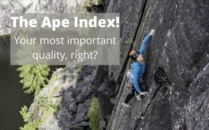 Ape Index Calculator: How to Measure For Climbing [Height Ratio]