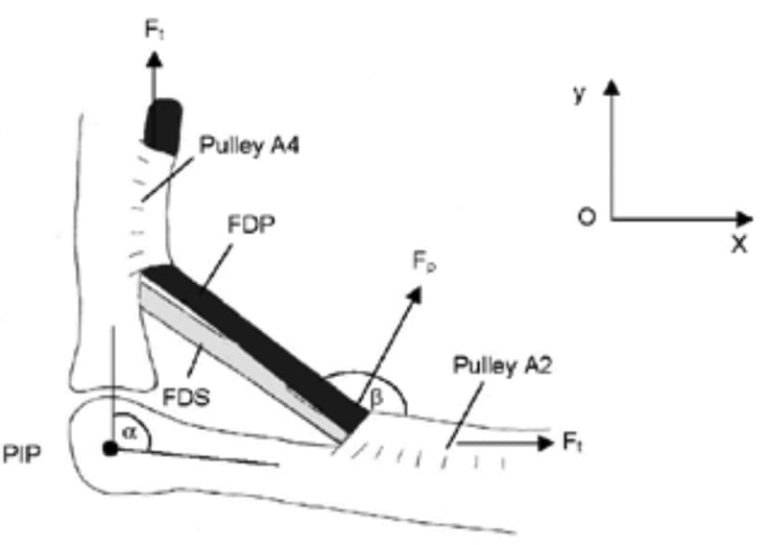 How To Tape Fingers For Climbing: Both Fingertips & Hands